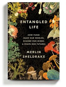 Merlin Sheldrake Entangled Life, Amazing! What A Book!